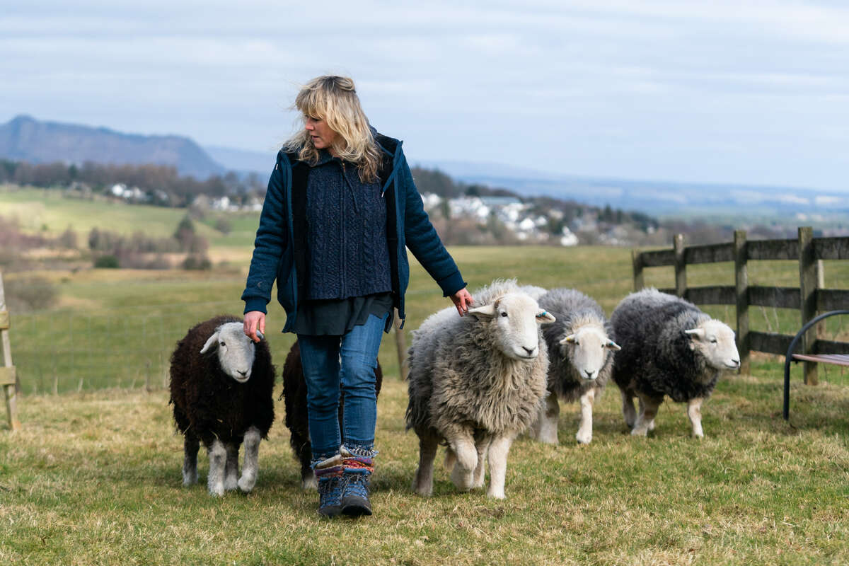 Leader-sheep Workshop with Dougal Top-Rated Virtual Event - Elevent